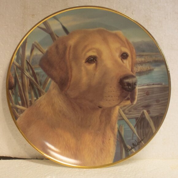 Franklin Mint | Accents | Vintage Franklin Mint Yellow Lab Decorative 8 ...